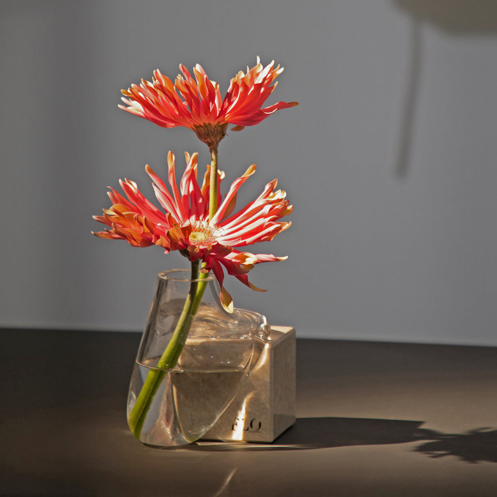 DRIP CUBE – Flo Concept